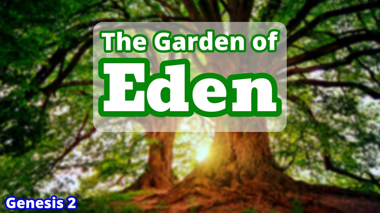 The Garden Of Eden - Bible Study Genesis 2 - YouTube