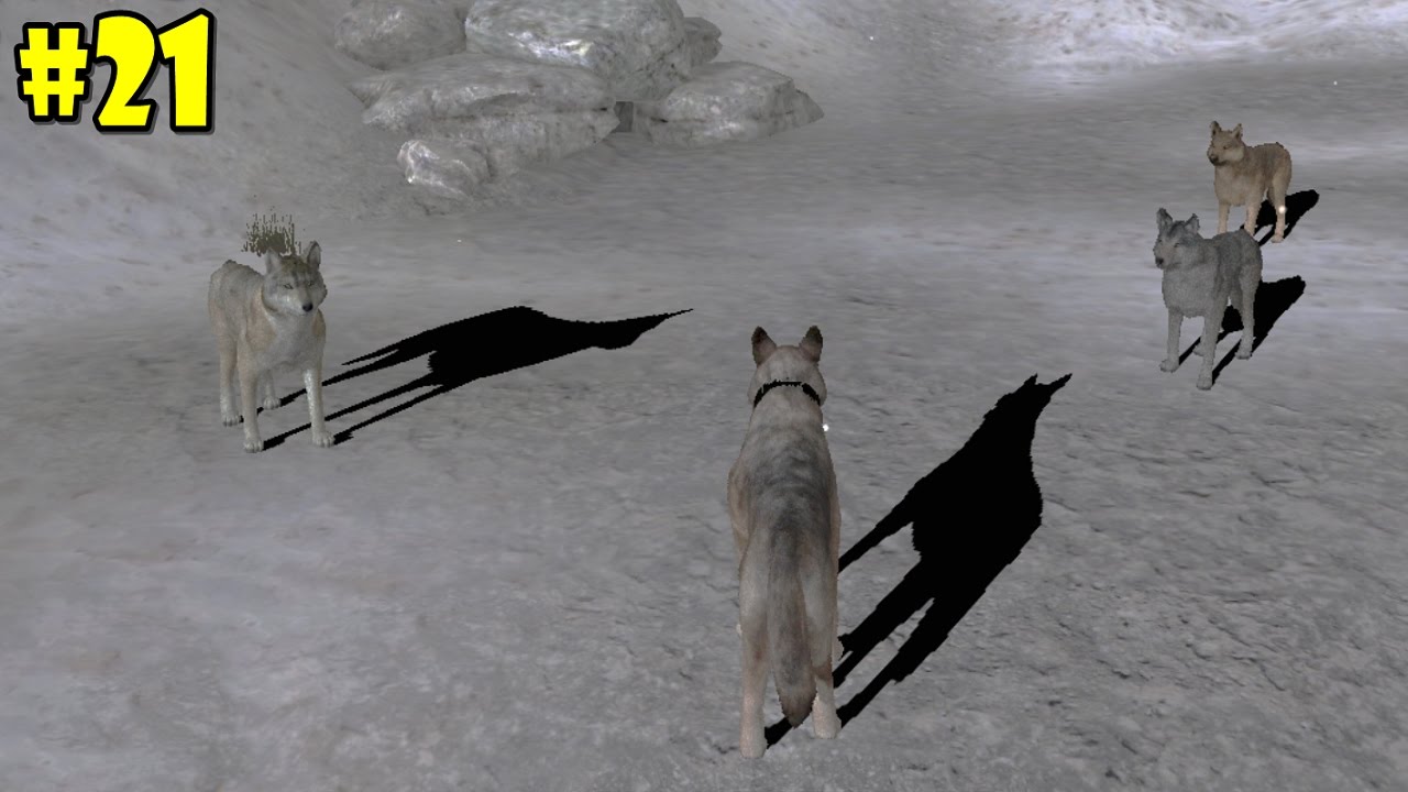 WolfQuest Multiplayer -Android/iOS/Kindle - Gameplay Episode 21 - YouTube