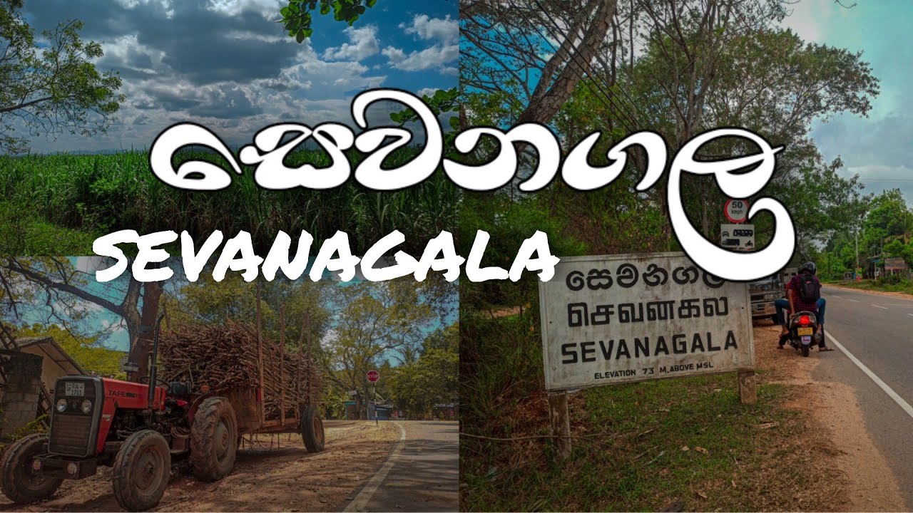 සෙවනගල | sevanagala | @travel with jani | vlog #8 - YouTube