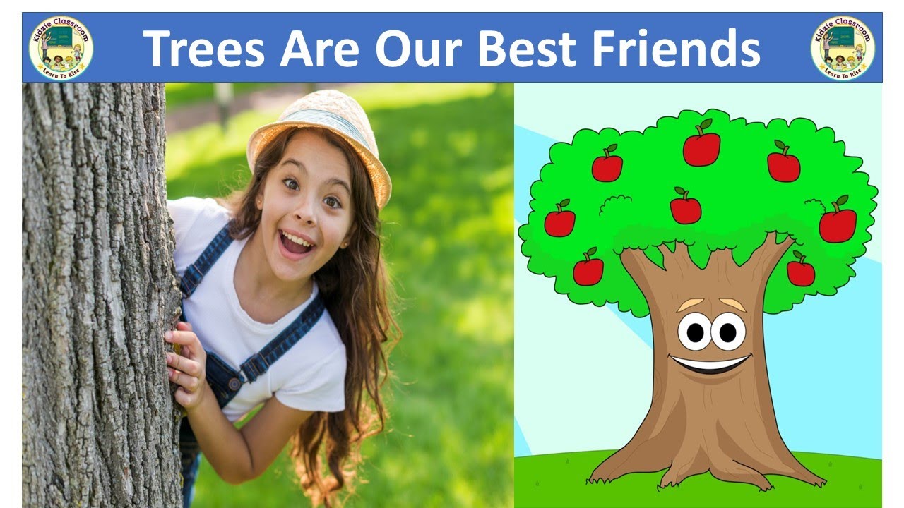 Trees Are Our Best Friends | Essay on Trees | Importance of Trees - YouTube