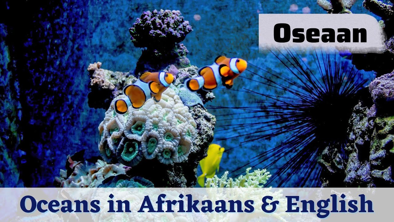 Oseaan - Oceans in Afrikaans & English - YouTube
