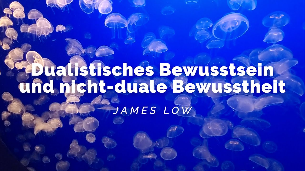 Dual Consciousness and Non-Dual Awareness. [EN-DE] Zoom 01.2025 - YouTube