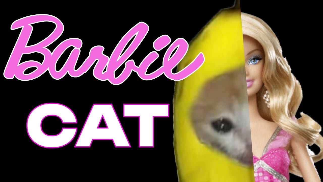 🍌🐱 BANANA CAT BECAME A BARBIE CAT 👩🏼💅🏻 - YouTube