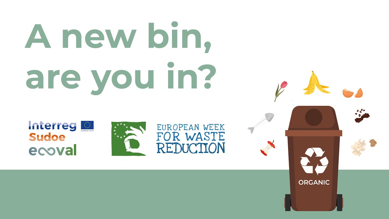 A new bin, are you in? - YouTube