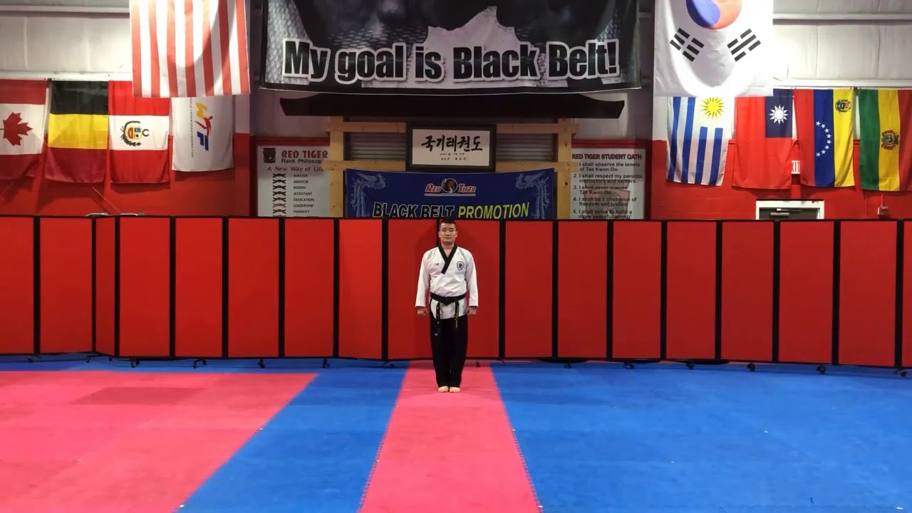Taeguk 6 jang with Red Tiger Martial Arts in Sarasota - YouTube
