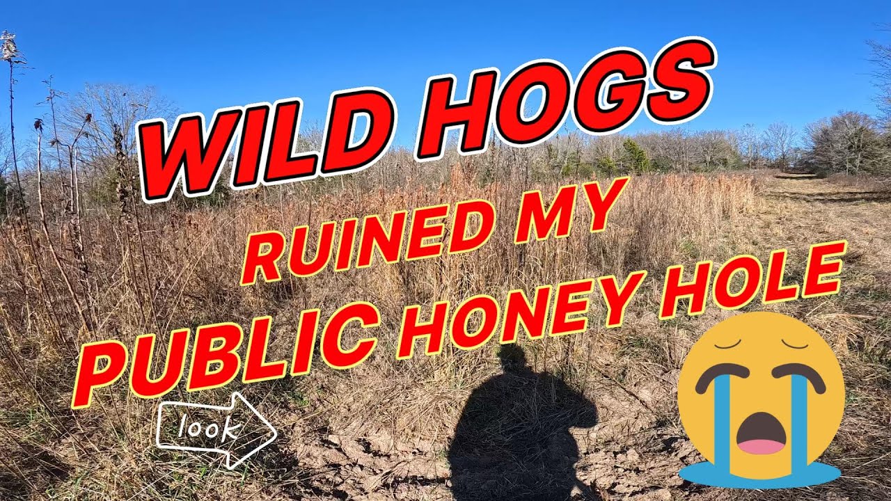 12 29 2025 RABBIT HUNT PUBLIC LAND 0 - YouTube