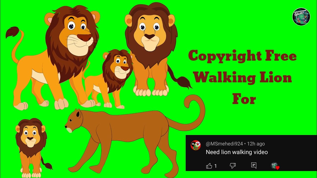 Copyright free Walking Lion|No Copyright Green screen walking lion ...