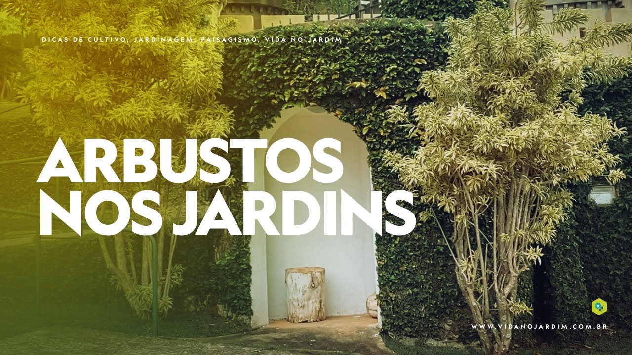 As FUNÇÕES dos ARBUSTOS nos JARDINS - YouTube