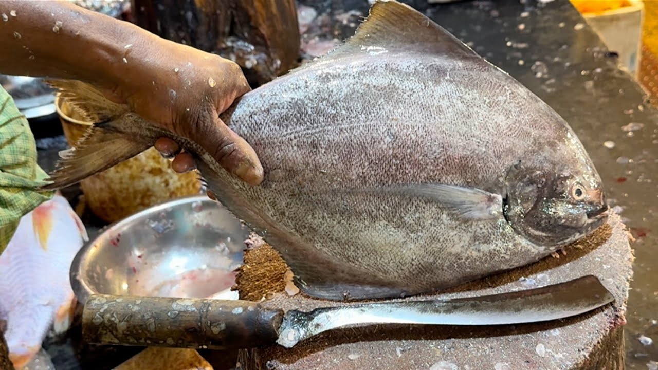 Big Black Pomfret Fish Cutting Skills In Fish Market | Fish Cutting ...