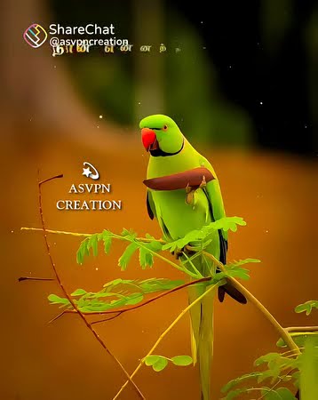 subject (2) - YouTube