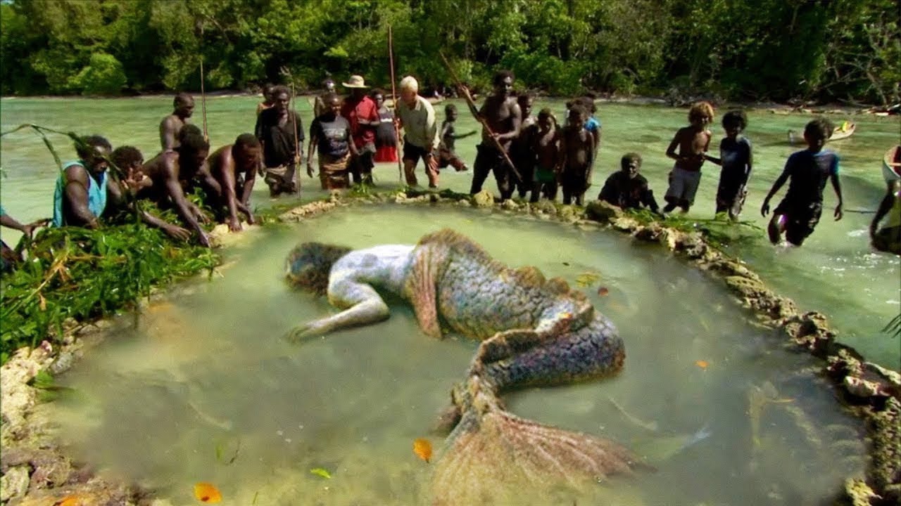 Real Mermaids Caught On Camera Youtube