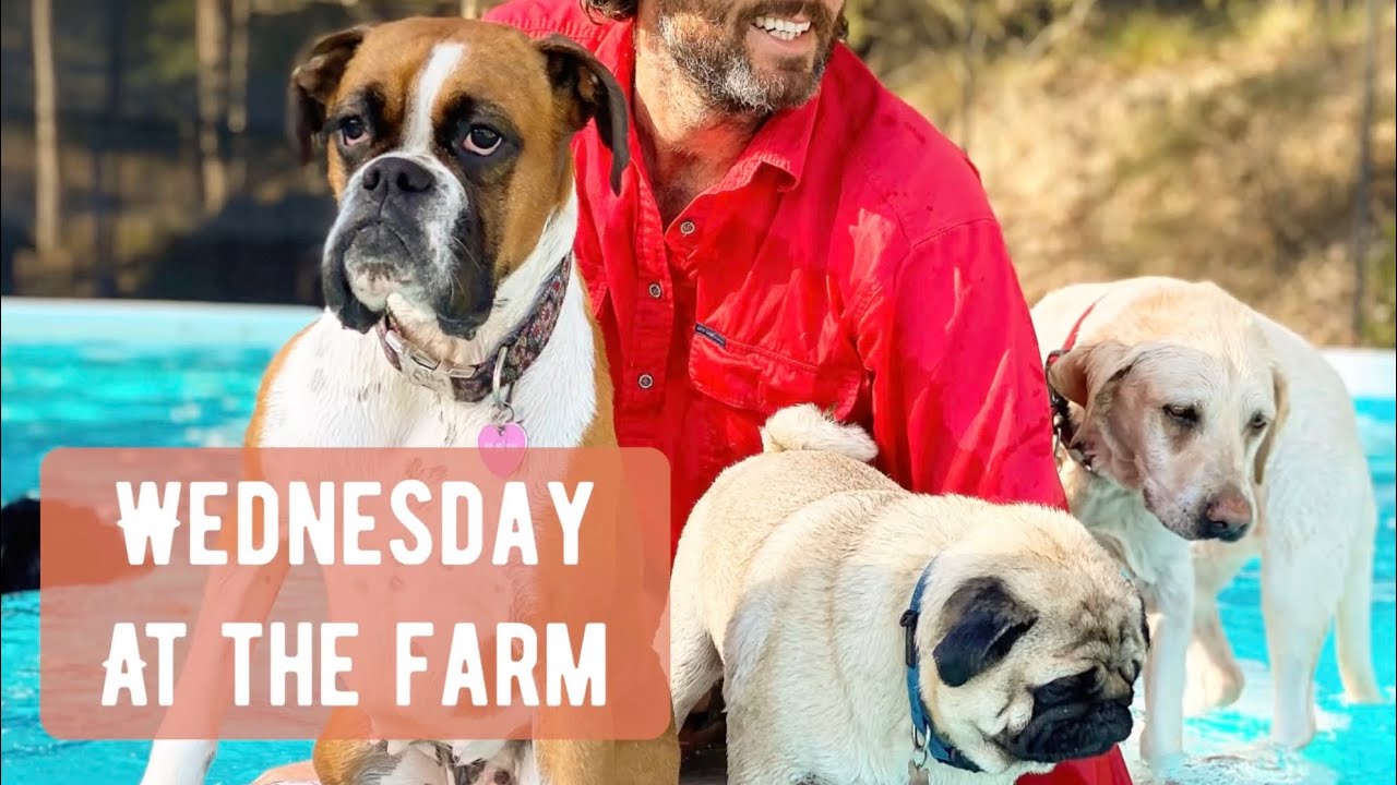 Wednesday at the farm - YouTube