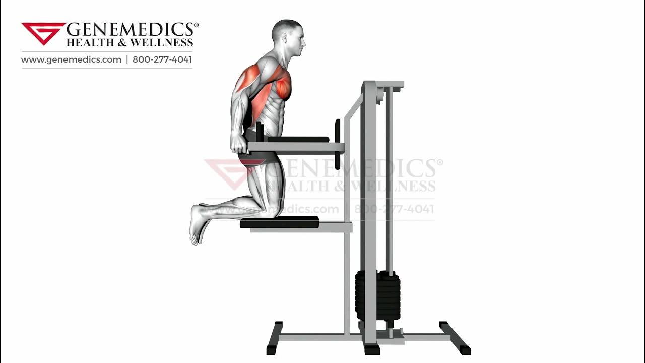Assisted Chest Dip Kneeling Chest Exercise Youtube