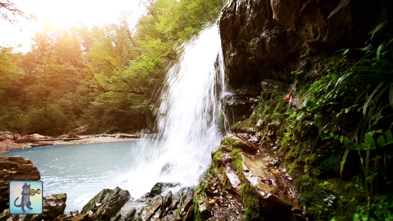 Relaxing Forest Waterfall ~ Relaxing Nature Sounds for Sleep, Study ...