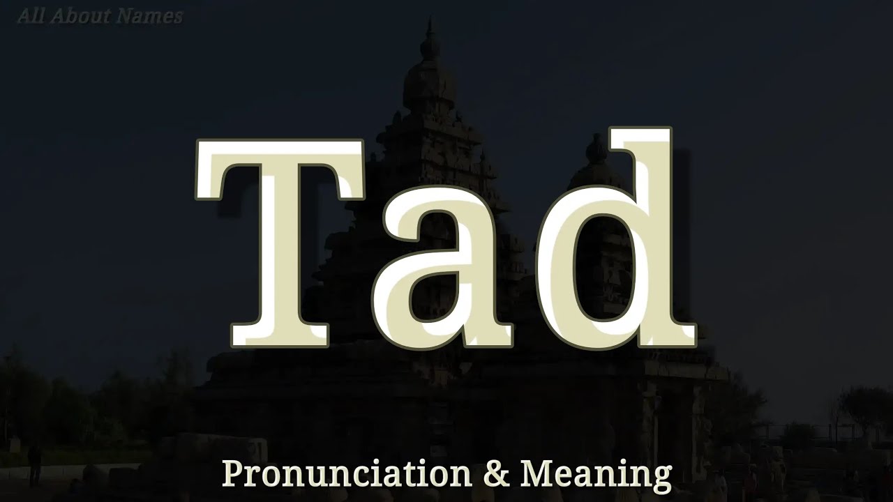 Tad - Pronunciation and Meaning - YouTube