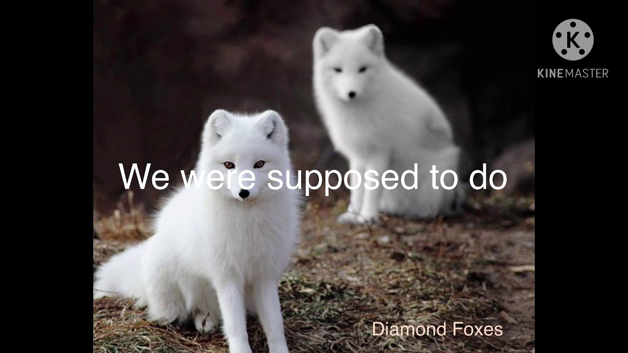 New intro and outro part one ( yes we changed the intro and outro once ...