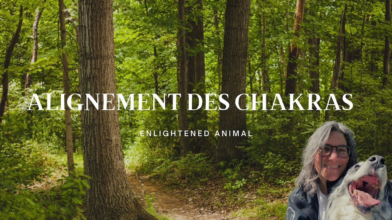 Alignement des chakras pour vous et votre chien - YouTube