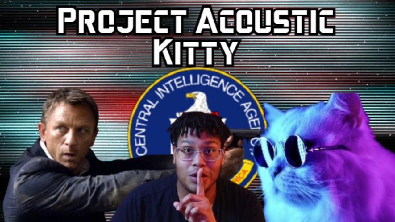 Project Acoustic Kitty: The CIA'S James Bond Cat - YouTube
