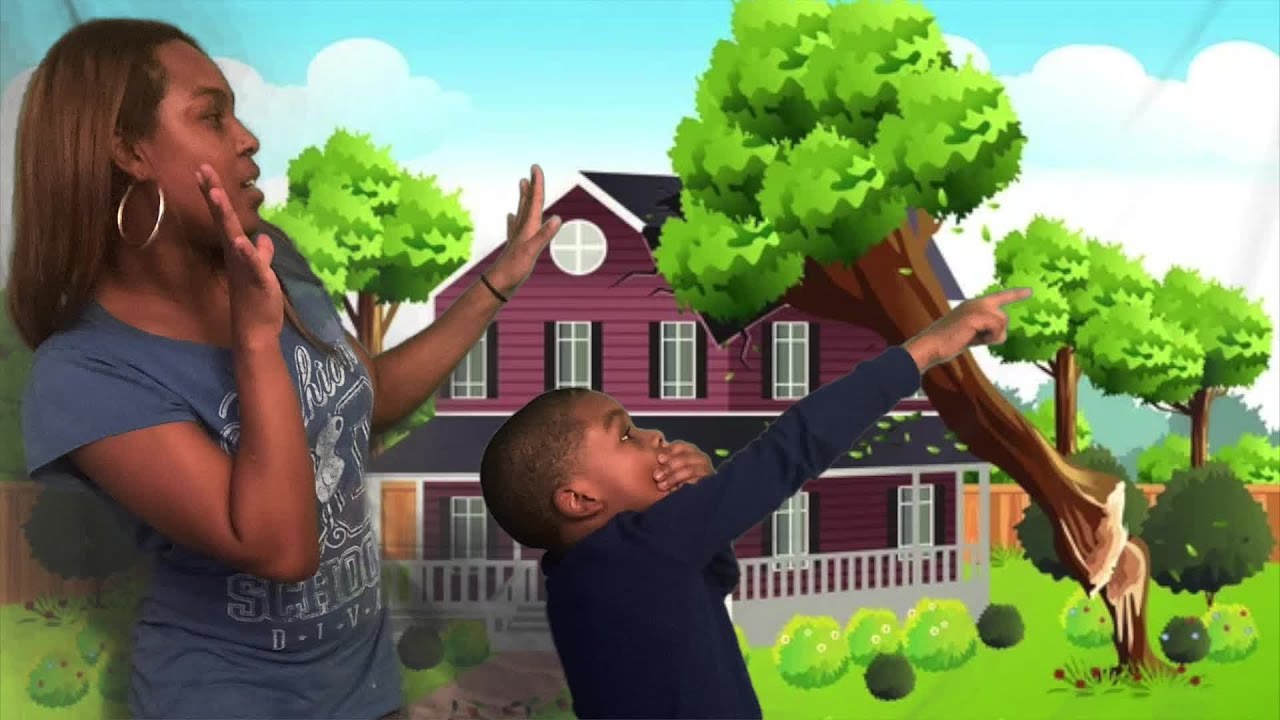 "Timber! Watch Out, Here Comes the Tree! 🌲😱" - YouTube