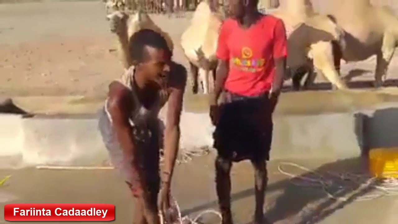 heesta geela - YouTube