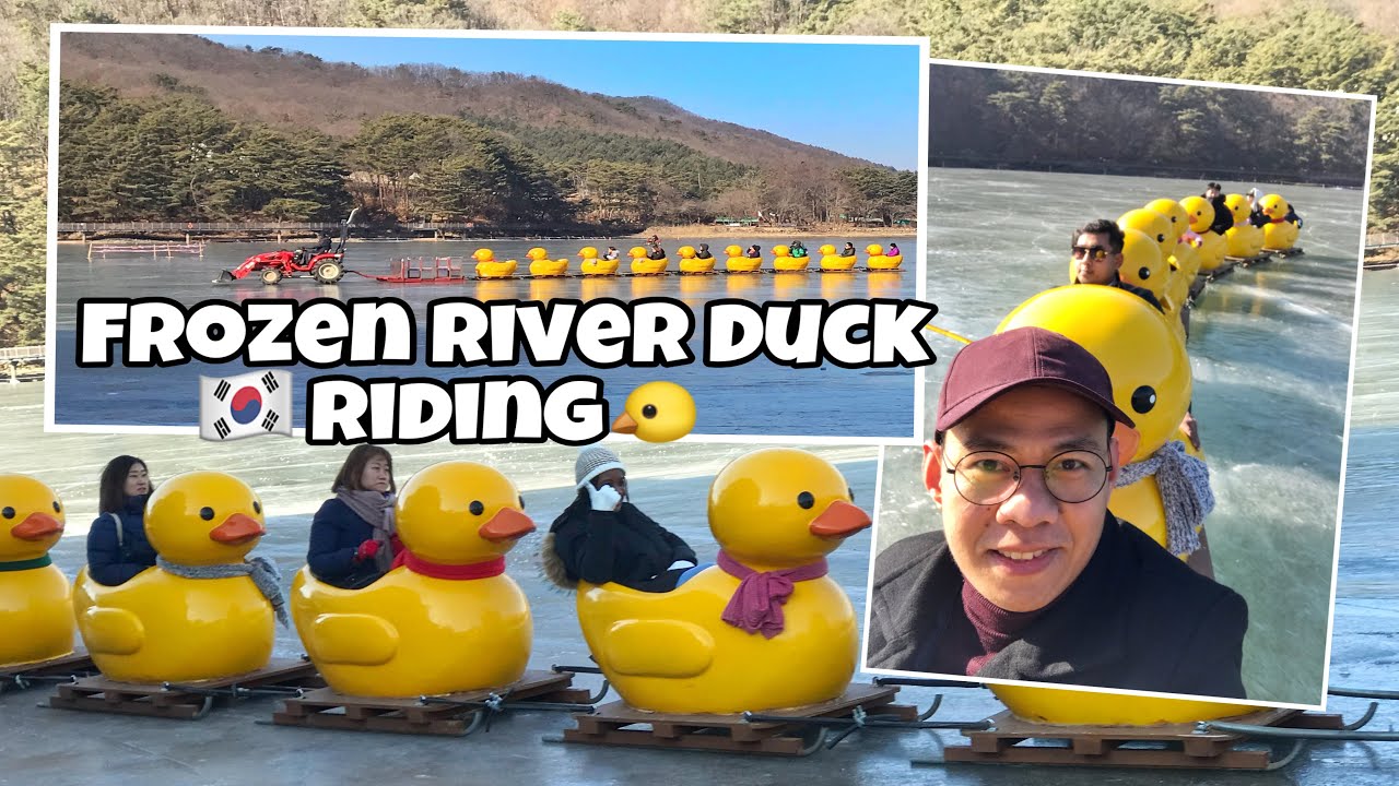 FROZEN RIVER DUCK RIDING | SOUTH KOREA - YouTube