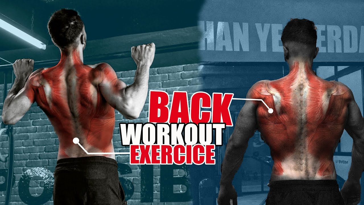 How To Build A Big Back 5 Back Exercices YouTube how-to-build-a-big-back-5-back-exercices-youtube