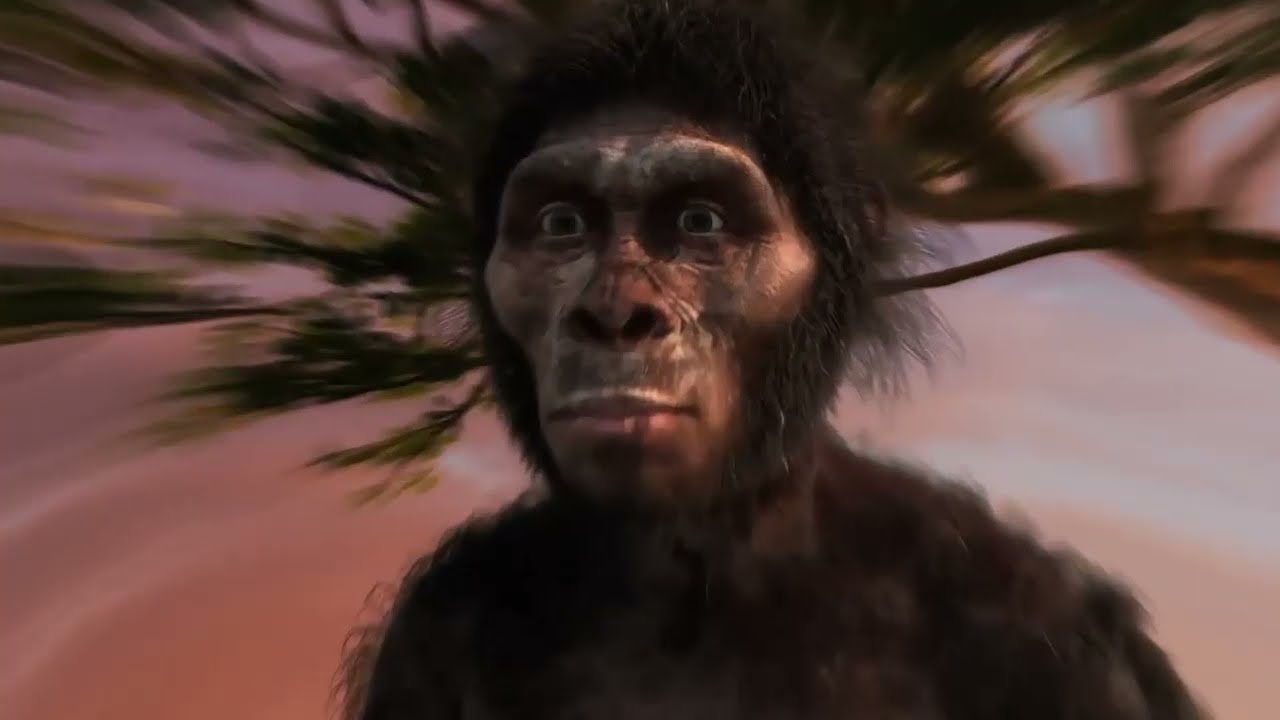 Hongos fantásticos - Teoria del mono dopado. - YouTube