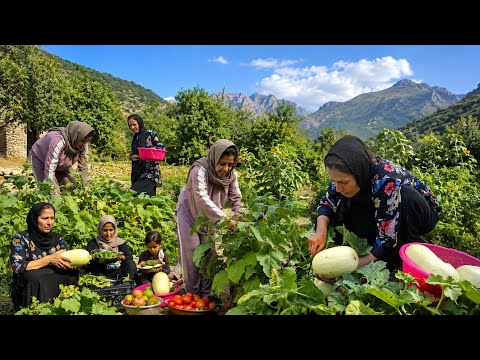 🔥 Amazing Harvest in the Zagros | Nomadic Life & a Bounty of Fresh Produce on a Mountain Farm 