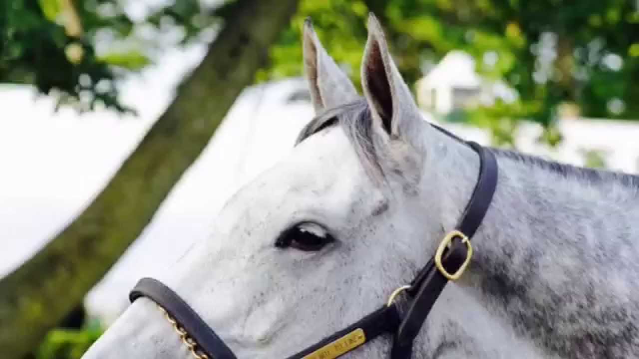 HARD NOT TO LIKE (G1) profile video by Zoe Cadman - YouTube