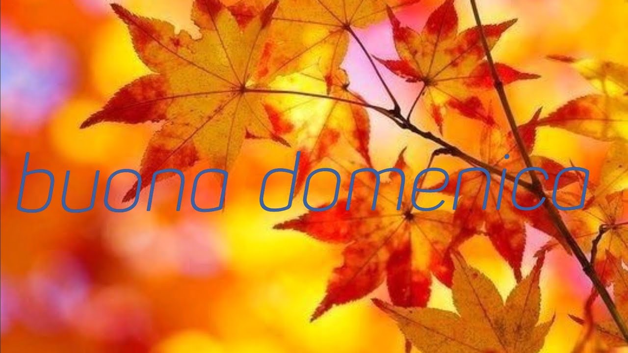 Buona domenica #domenica #buongiorno - YouTube