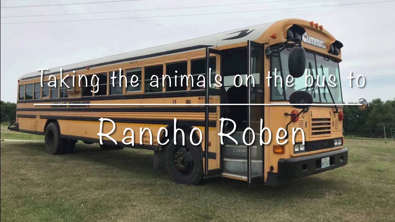 Getting ready to take 9+ FARM ANIMALS ON A BUS!!! - YouTube
