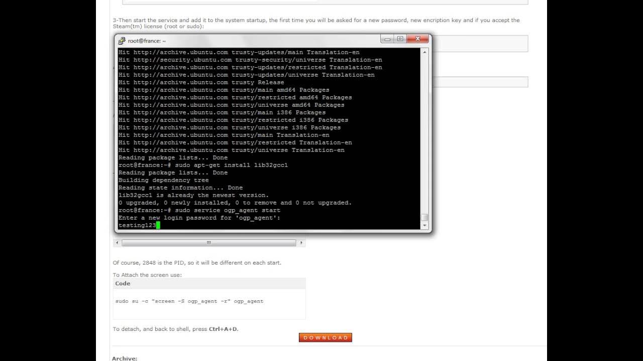 How To Install Open Game Panel Agent - YouTube