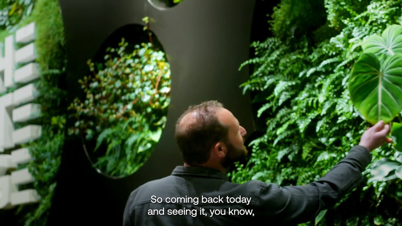 How's it Growing? | Checking in on the iconic Climate Pledge Living ...