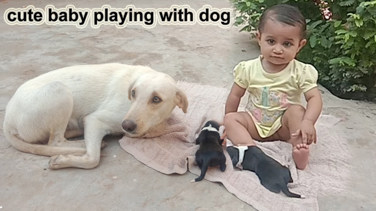 Cute Baby Playing With Dog baby Compilation | Baby and Pets Video ...