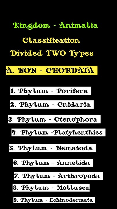 Classification Of Kingdom - Animalia || जंतु जगत का वर्गीकरण || सभी के ...