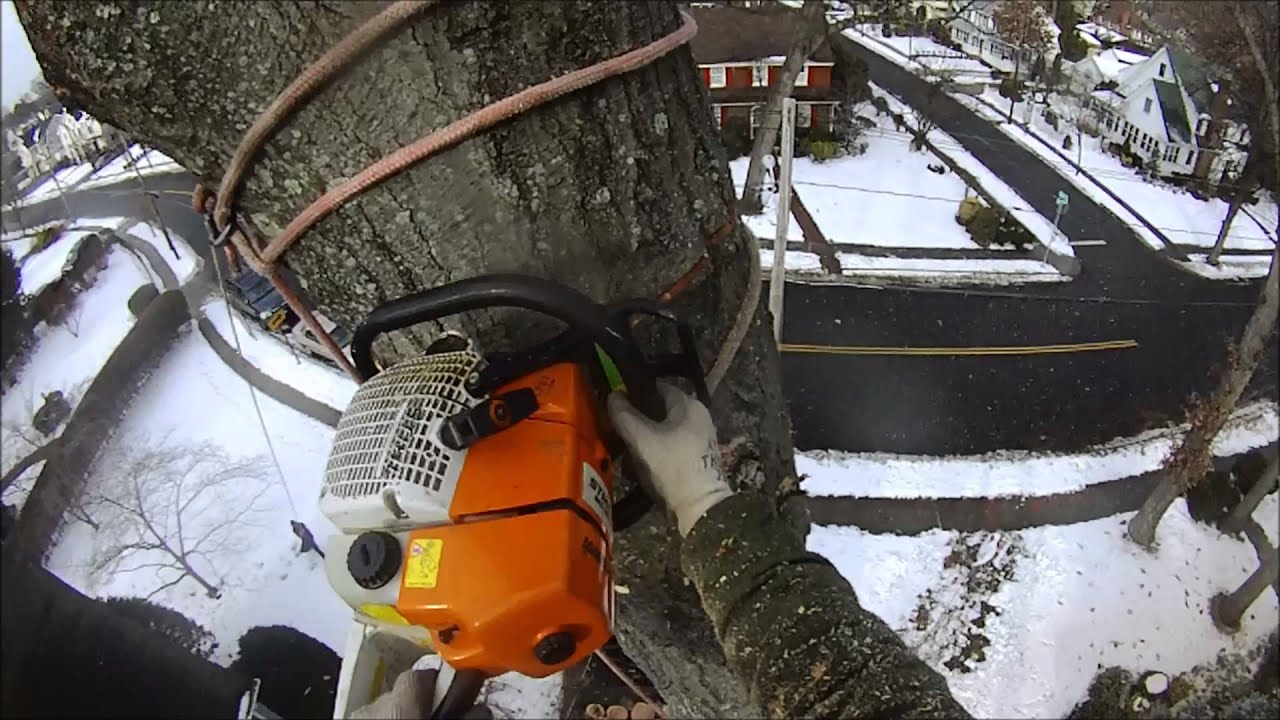 Rig an oak trunk - negative rigging - YouTube