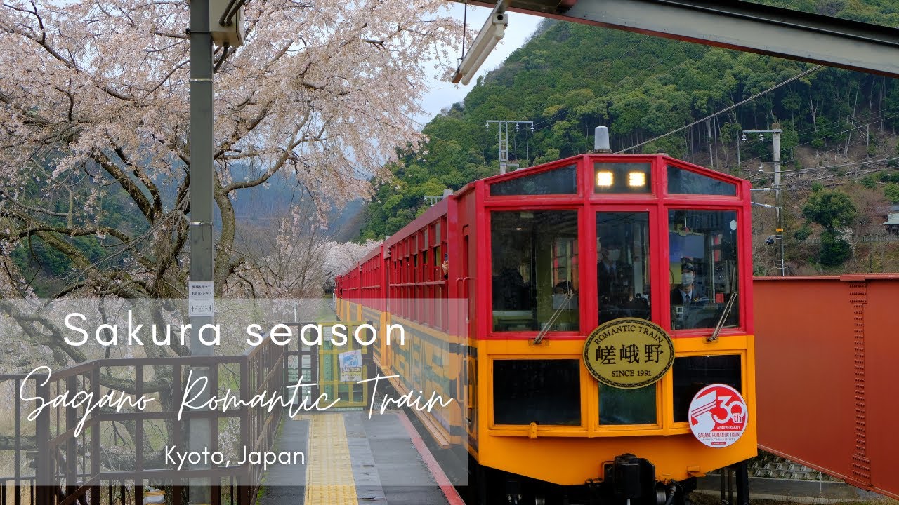 Spring in Japan: Cherry blossom (Sakura) Train Ride [in 4K] - YouTube
