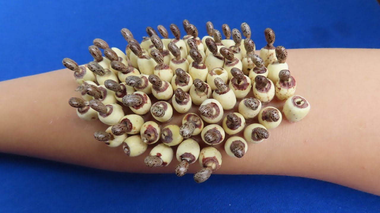 Amazing, A lady removes giant ticks style on arm | Designed from lotus ...