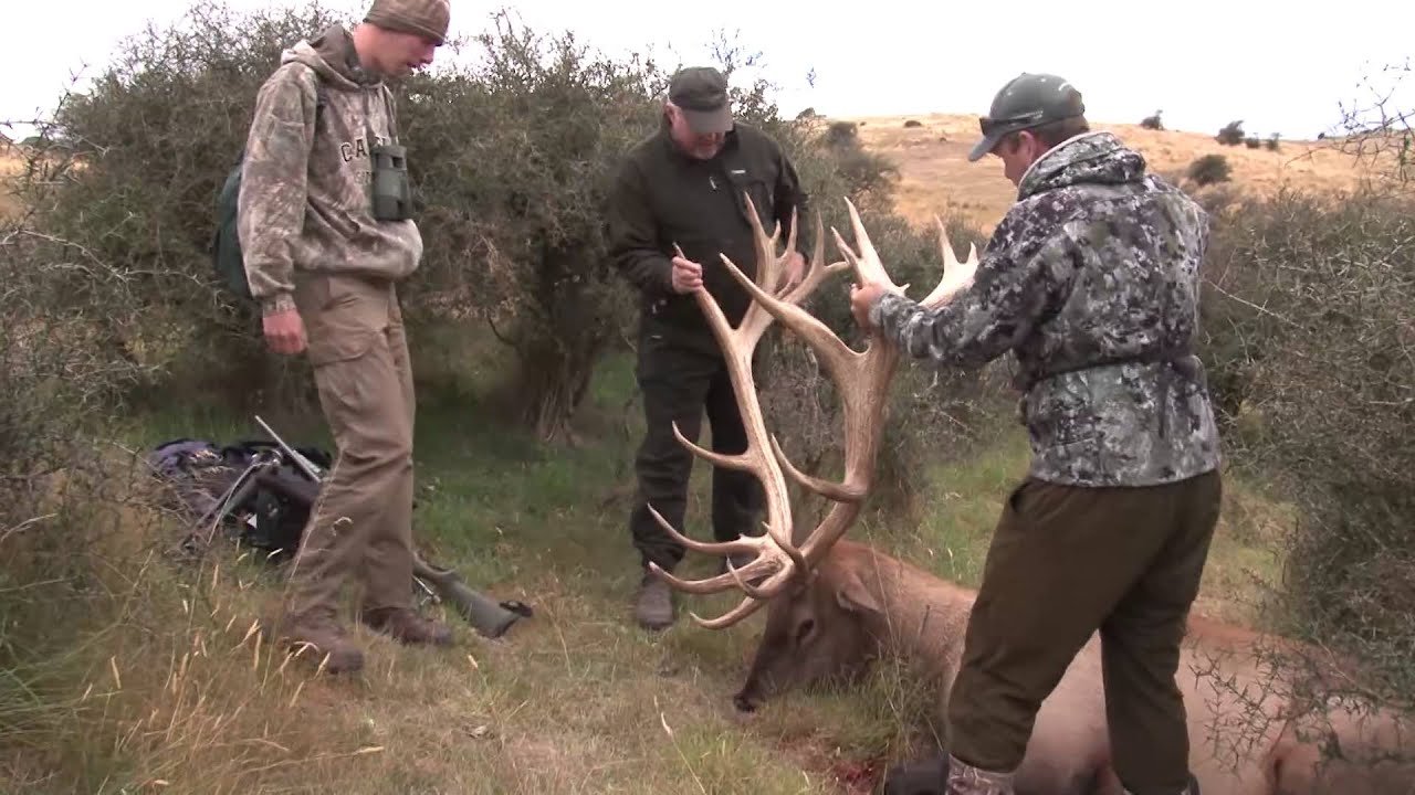 Kyle's New Zealand Hunt - YouTube