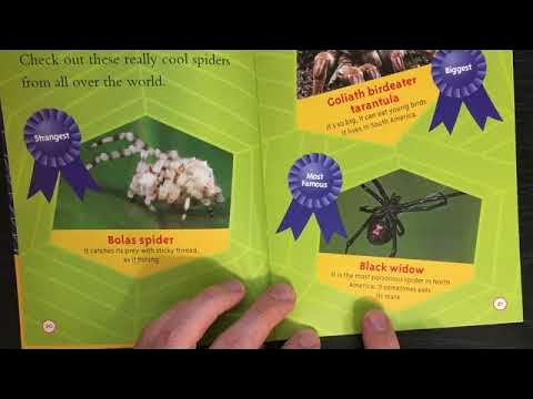 utomp3 com National Geographic Kids Spiders 360p - YouTube