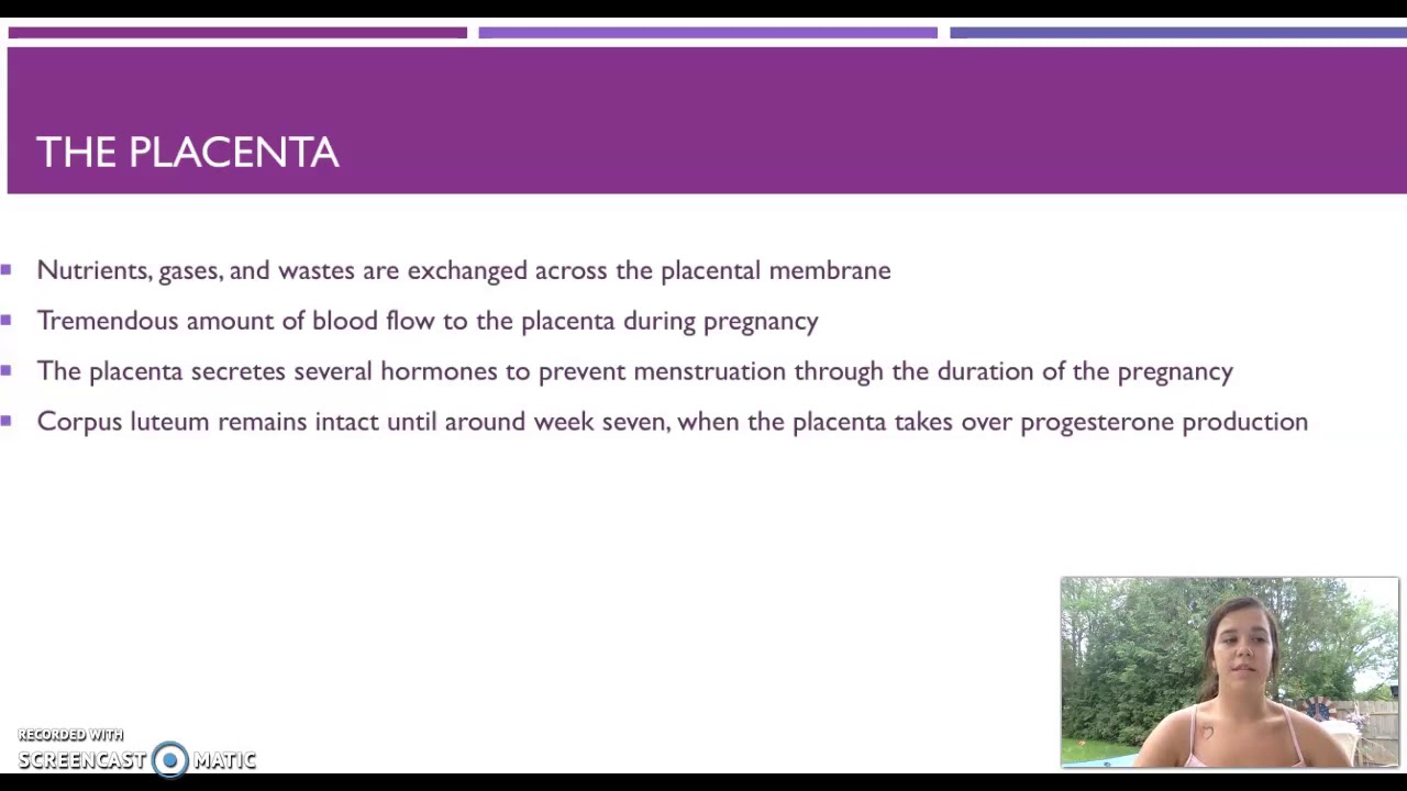 Hormonal Control of Implantation and Early Embryonic Development - YouTube