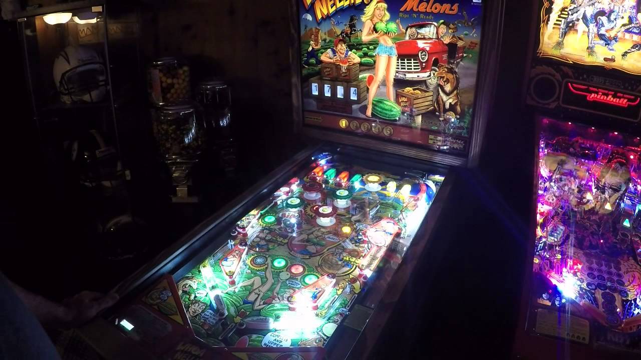 Whoa Nellie pinball gameplay - YouTube
