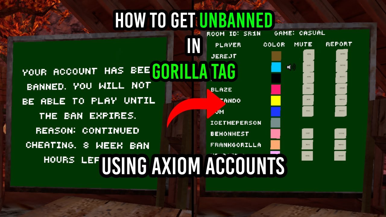 HOW TO GET UNBANNED IN GORILLA TAG!!! - YouTube
