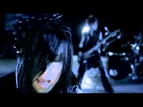 D - Nocturnal PV