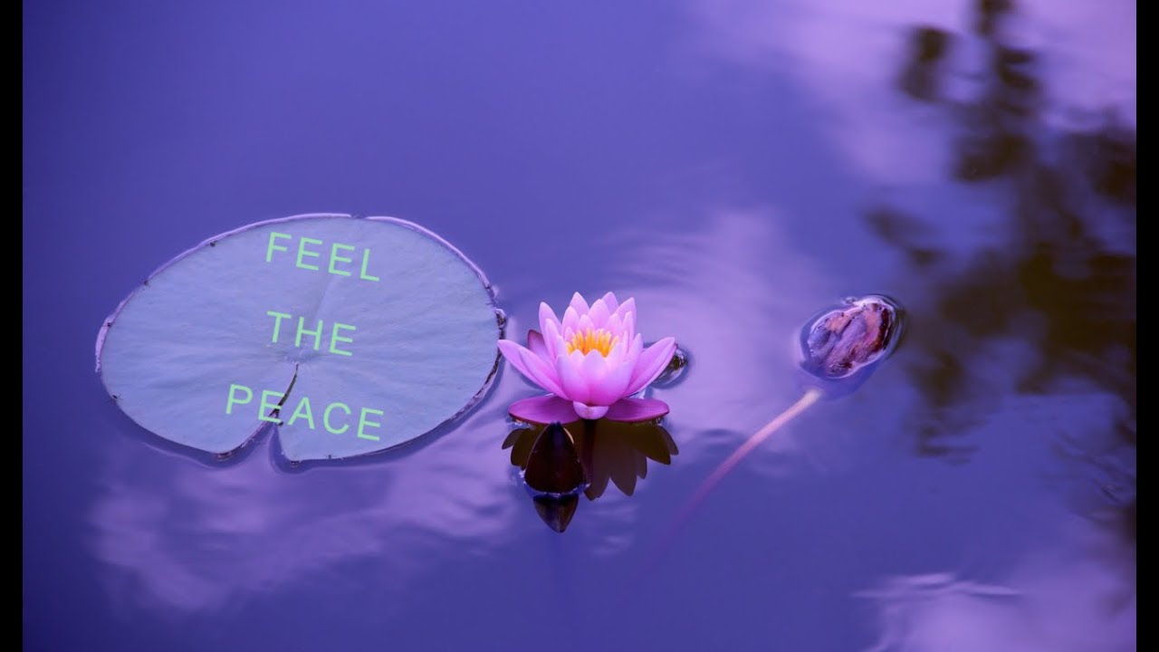 Feel The Peace and Calm - YouTube