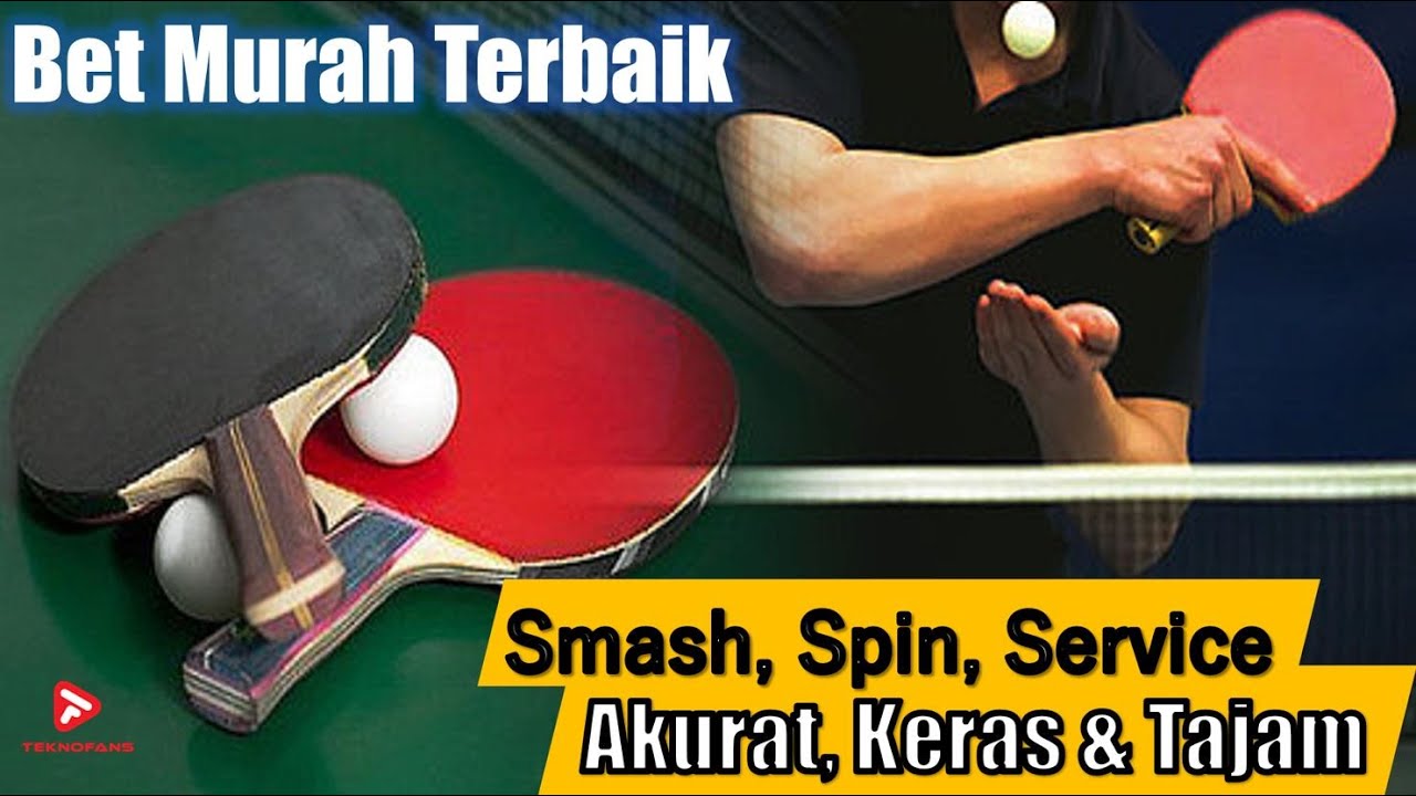 5 REKOMENDASI BET PING PONG (TENIS MEJA) MURAH TERBAIK UNTUK PEMULA ...