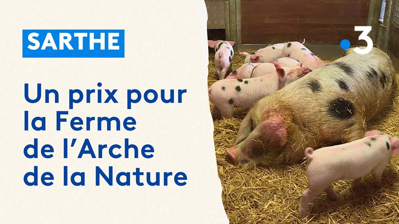 "Porc de Bayeux" : le premier prix pour la Ferme de L'Arche de la ...