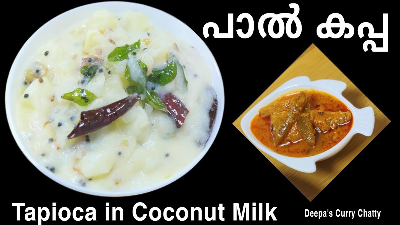 Paal Kappa Recipe Malayalam || Traditional Recipe of Tapioca in Coconut ...