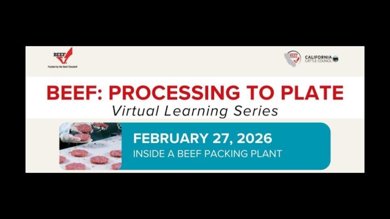 "Inside a Beef Packing Plant" -- Beef: Processing to Plate 3-Part ...