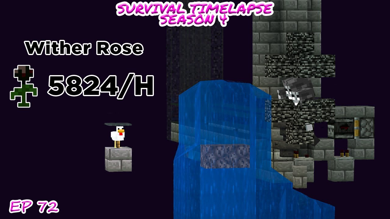 Wither Rose Farm | Minecraft Survival Timelapse Season 4 Episode 72 ...